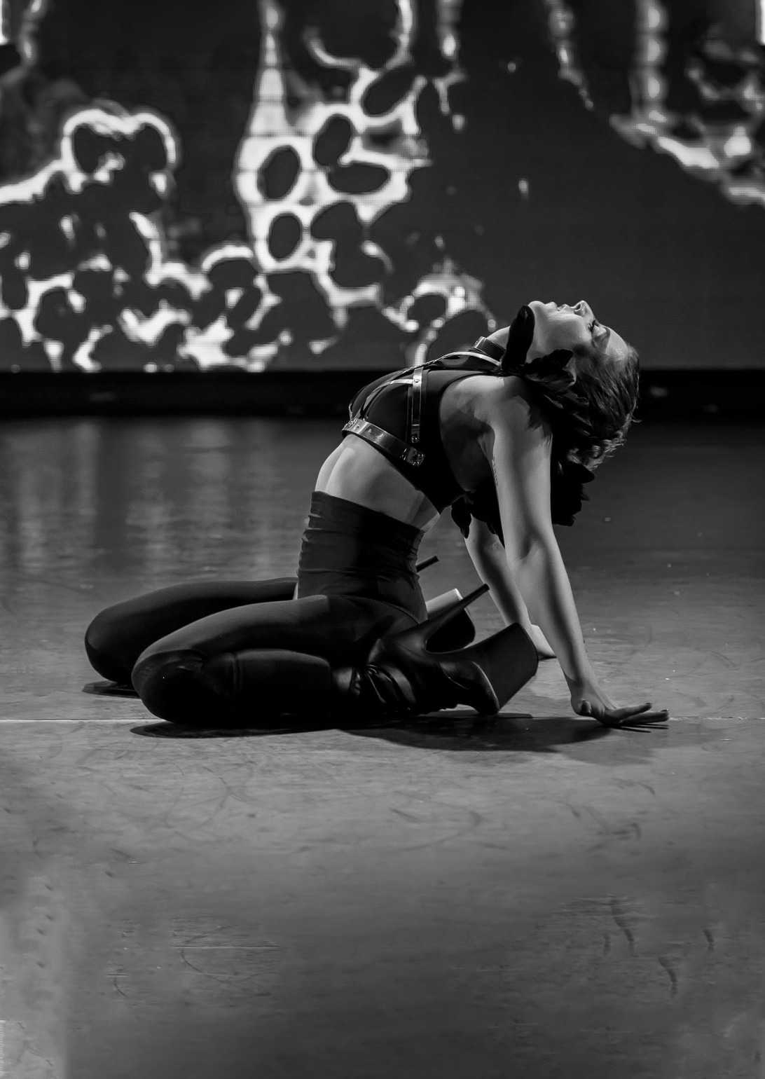 Pole Dance et Danse à Strasbourg | Vertical Academy 🔥 | École de Danse